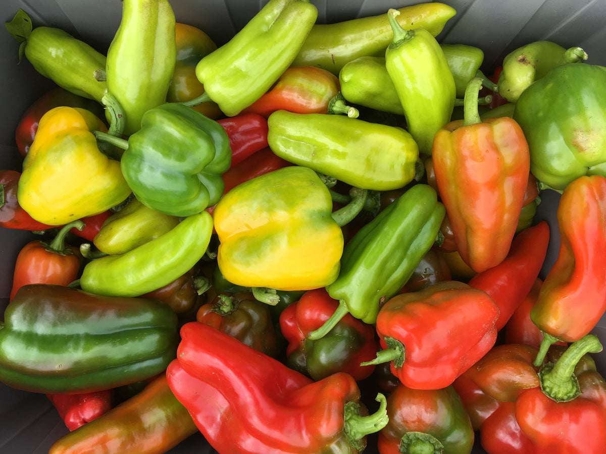 Peppers – PFP Farm Store