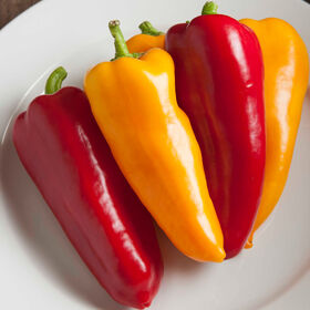 Peppers, Sweet – PFP Farm Store