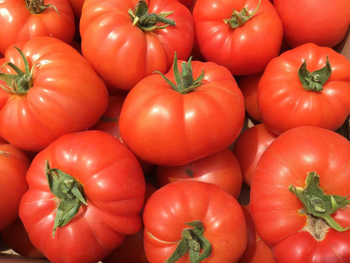 Tomatoes – PFP Farm Store